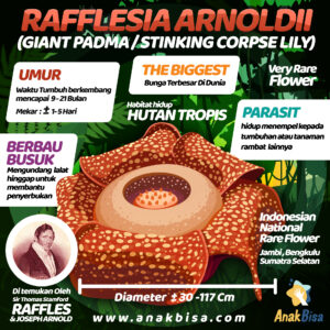 Rafflesia arnoldii, Bunga Terbesar di Dunia - AnakBisa
