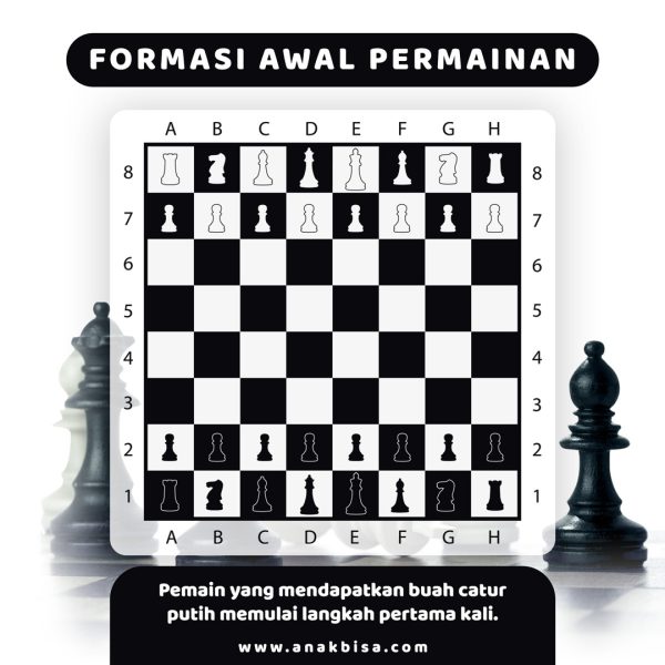 Mengenal Olahraga Catur, Permainan Strategi yang Tergolong Klasik ...